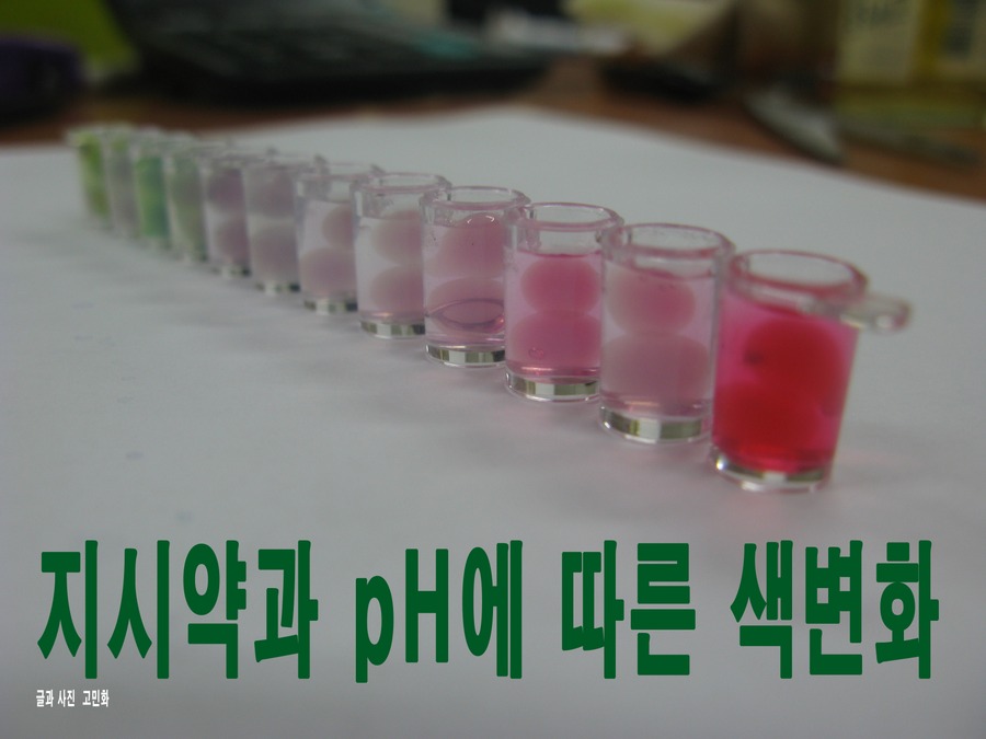 양배추 지시약 Exp 4 지시약의 Ph에 따른 색 변화 관찰 네이버 블로그