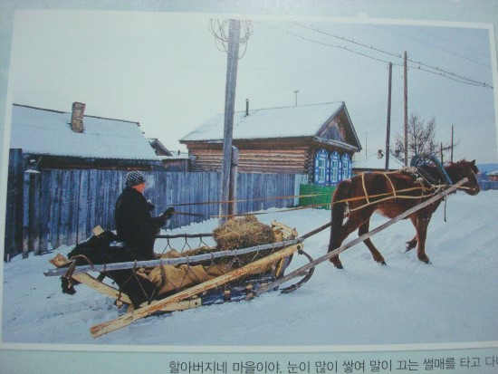 역지사지 세계 문화로 찾아보는 냉대기후 Vs 한대기후 네이버 블로그