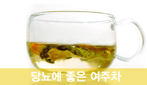 당뇨에 좋은 차 여주차고야차의 효능과 만드는 법 네이버 블로그
