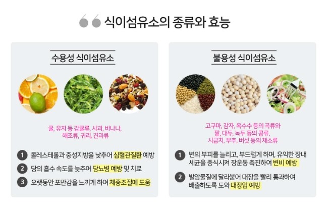식이섬유소의 재발견 변비뿐 아니라 여러 질환 예방한다 식이섬유 효능 네이버 블로그