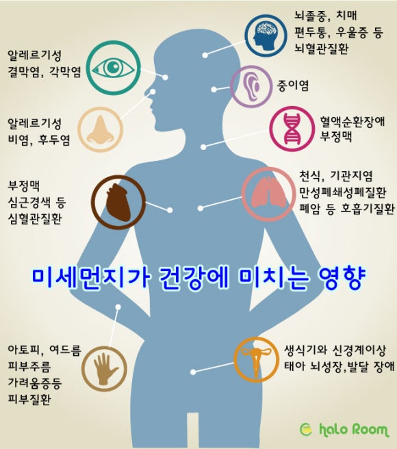 미세먼지가 건강에 미치는 영향 네이버 블로그