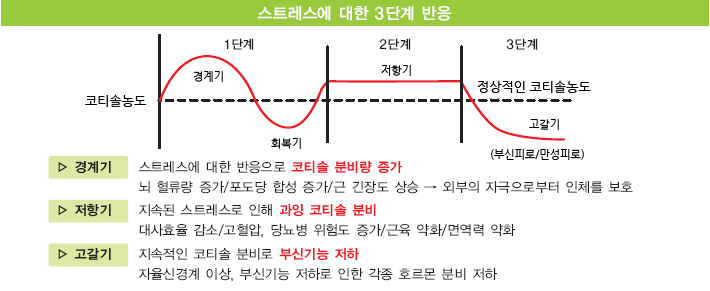 스트레스와 부신 코티솔 만성피로 수면에 관하여1 네이버 블로그