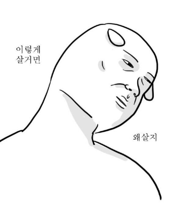 짤풀이 웹툰 특집2 대학일기 짤방 카톡짤방 웹툰짤방 대학생 짤짤모음 네이버 블로그