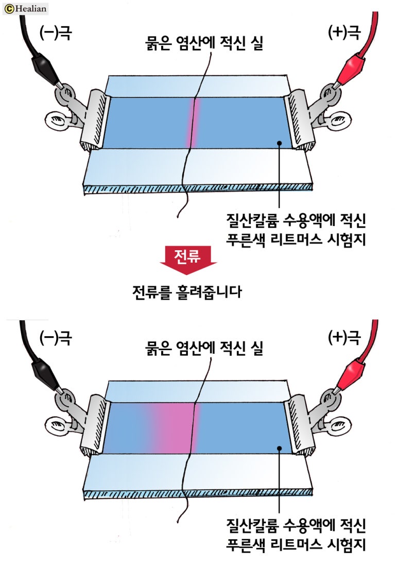 중3과학5단원 산성 이온과 염기성 이온을 확인해 보아요 네이버 블로그