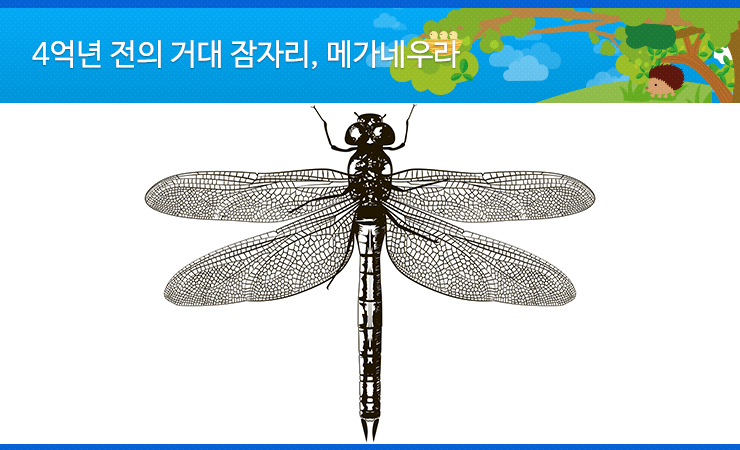 4억년 전의 거대 잠자리 메가네우라 네이버 블로그