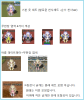 바람의 나라할로윈 천사세트여 순수천사 Ver 착용 샷 네이버 블로그