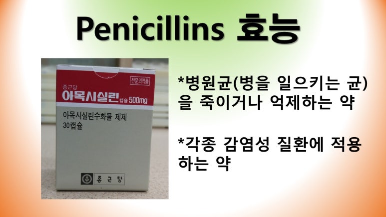 아목시실린곰실린오구멘틴 등의 페니실린 항생제 효능효과와 부작용 네이버 블로그