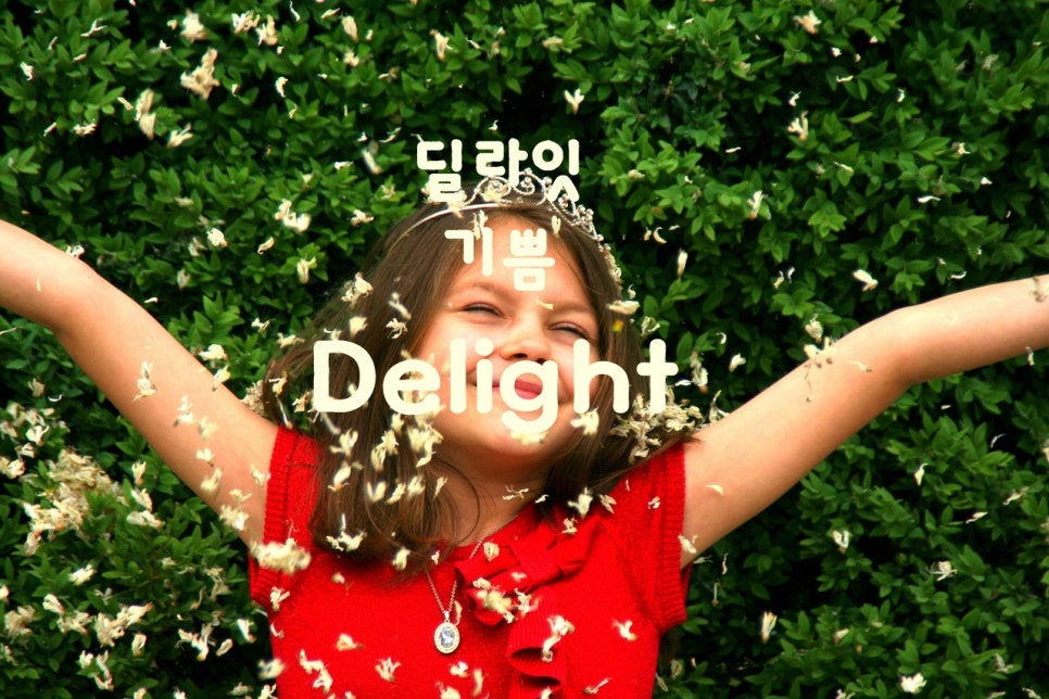 뜻이 예쁜 영어단어 보고 행복하세용~~ㅇㅇ 네이버 블로그