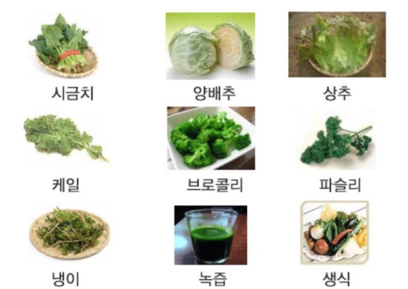 와파린 복용법 부작용 주의사항 비타민 K 음식과 상호작용 네이버 블로그
