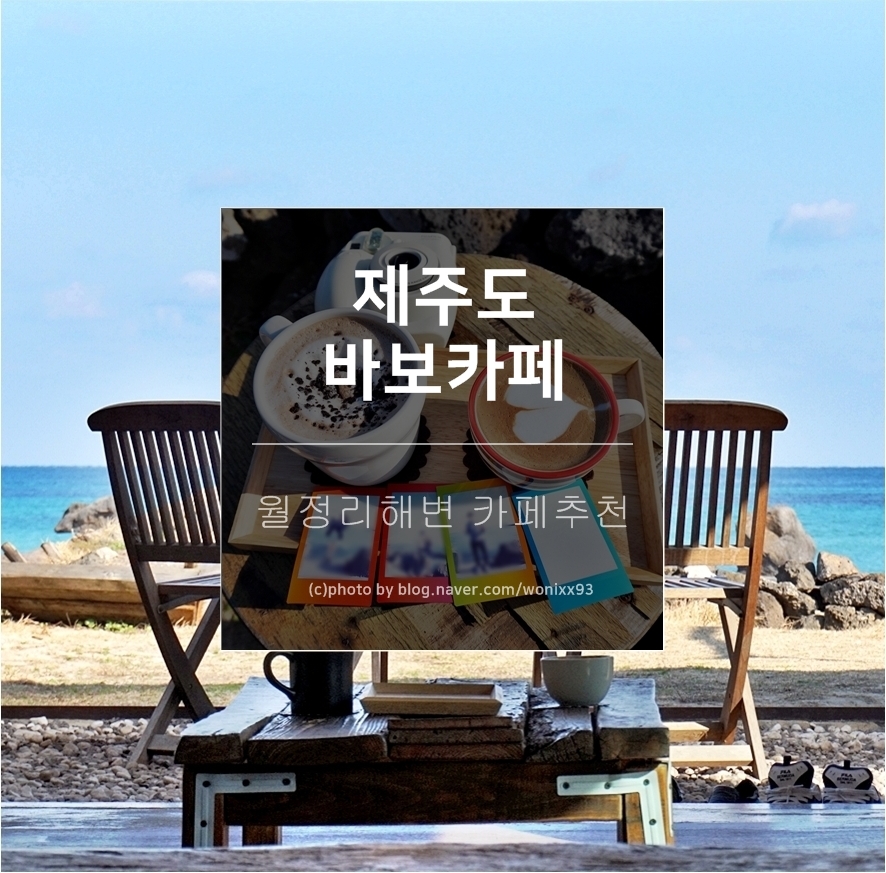 제주도 월정리해변 카페추천 바보카페 네이버 블로그