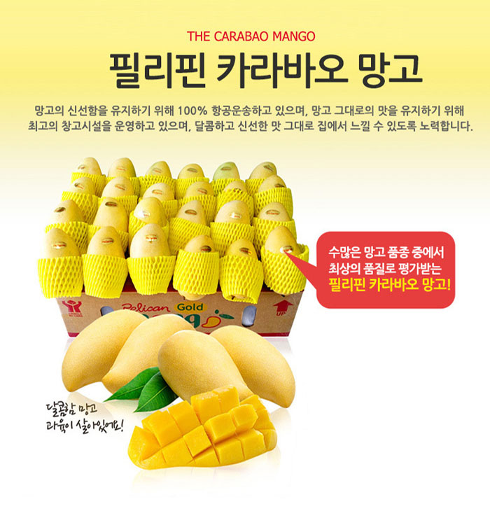 필리핀 망고 기네스북 최상위 품종 카라바오 네이버 블로그
