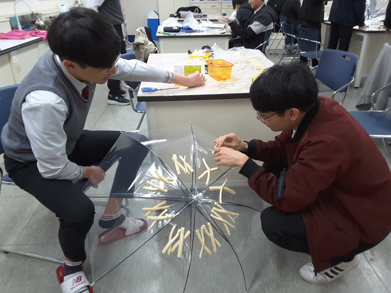 핵형분석 우산 만들기 네이버 블로그