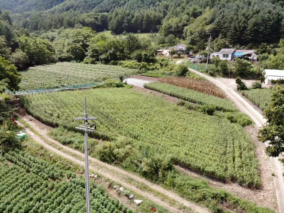 홍천군 서석면 수하리 전원주택부지급매 698평1억6천만원홍천서석부동산홍천토지 네이버 블로그