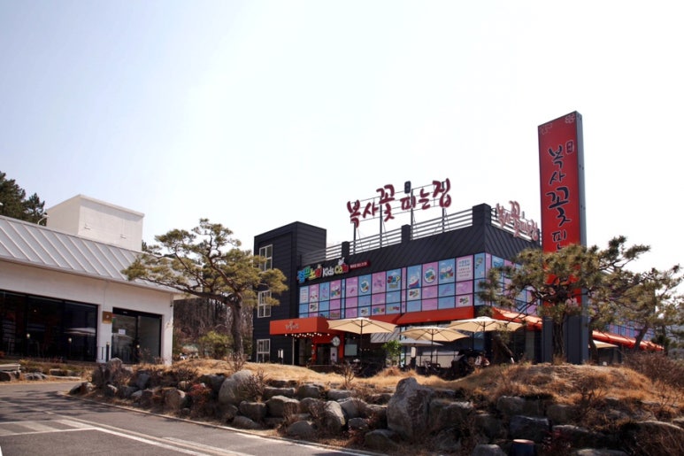 유성 쭈꾸미 맛집 복사꽃피는집 대전점 가보니~~ 네이버 블로그