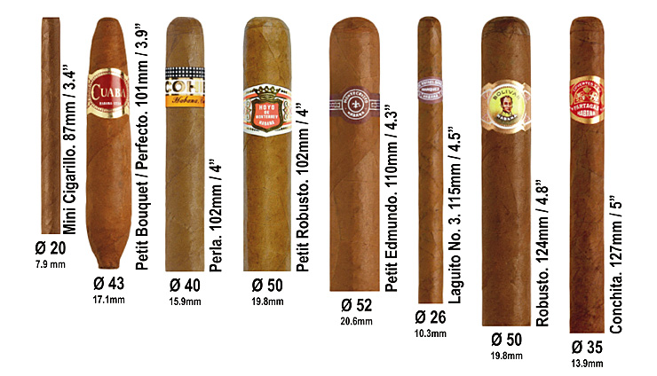 쿠바시가 사이즈표, 시가 레퍼종류, 시가 모양종류 : 네이버 블로그