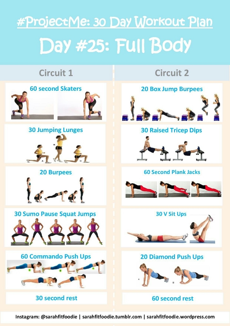 바디웨이트 운동프로그램 모음 : 네이버 블로그