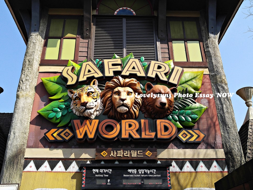 에버랜드 '사파리월드', 용인 에버랜드 가볼만한곳 : 네이버 블로그