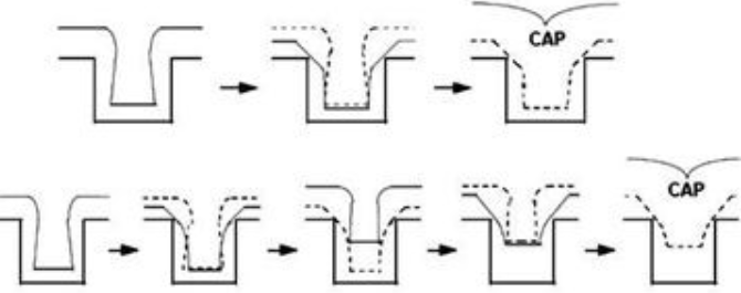 SeMi뀨의 공정강의-CVD심화과정, LPCVD, kinetics, mass transfer, surface chemical ...