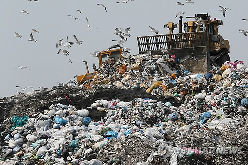 생물 다양성 파괴, 토양오염의 원인과 피해 사례 : 네이버 블로그